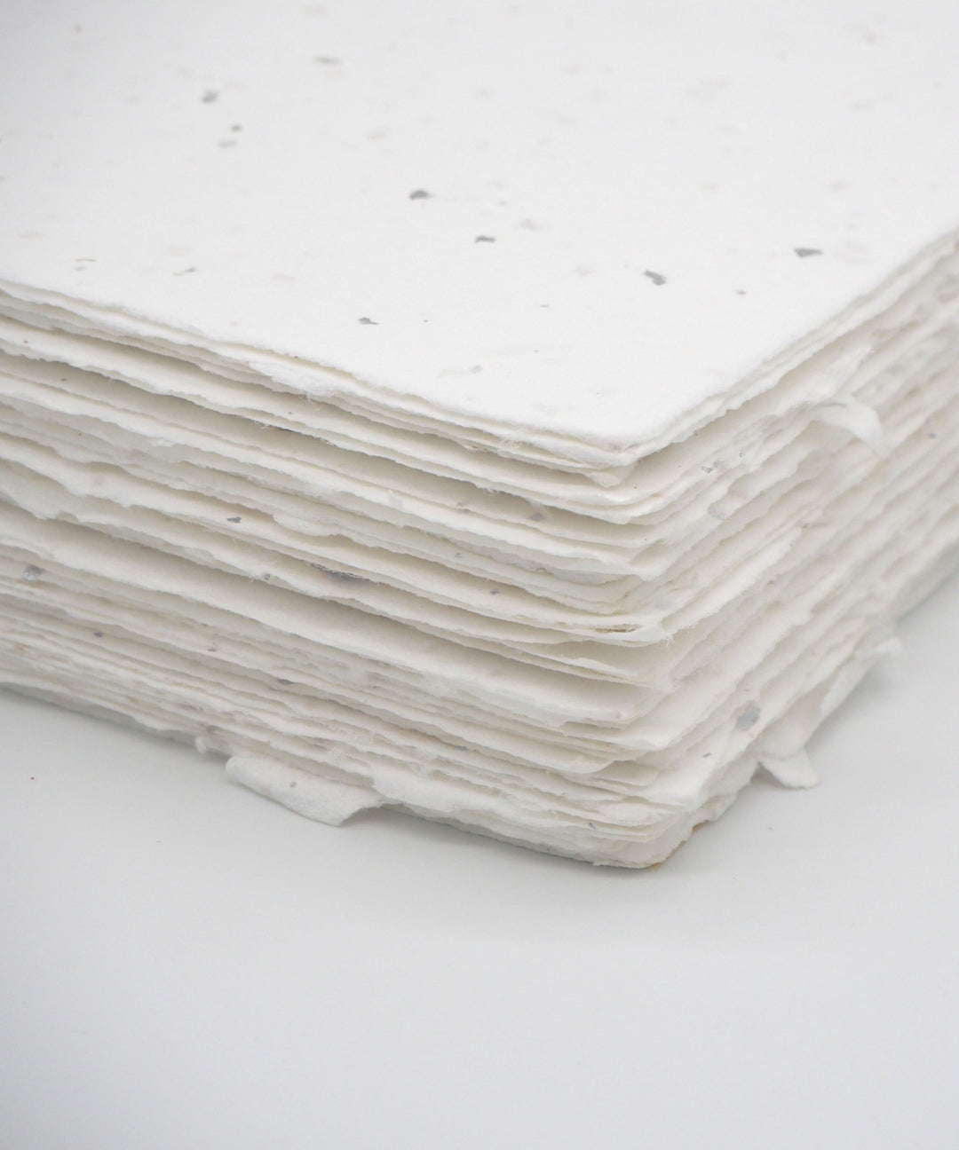 Winter Collection – Porridge Papers