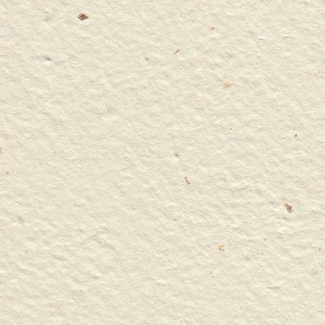 Brewhaus - Handmade Paper – Porridge Papers