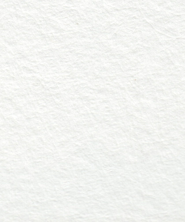 1889 Collection | Handmade Papers – Porridge Papers