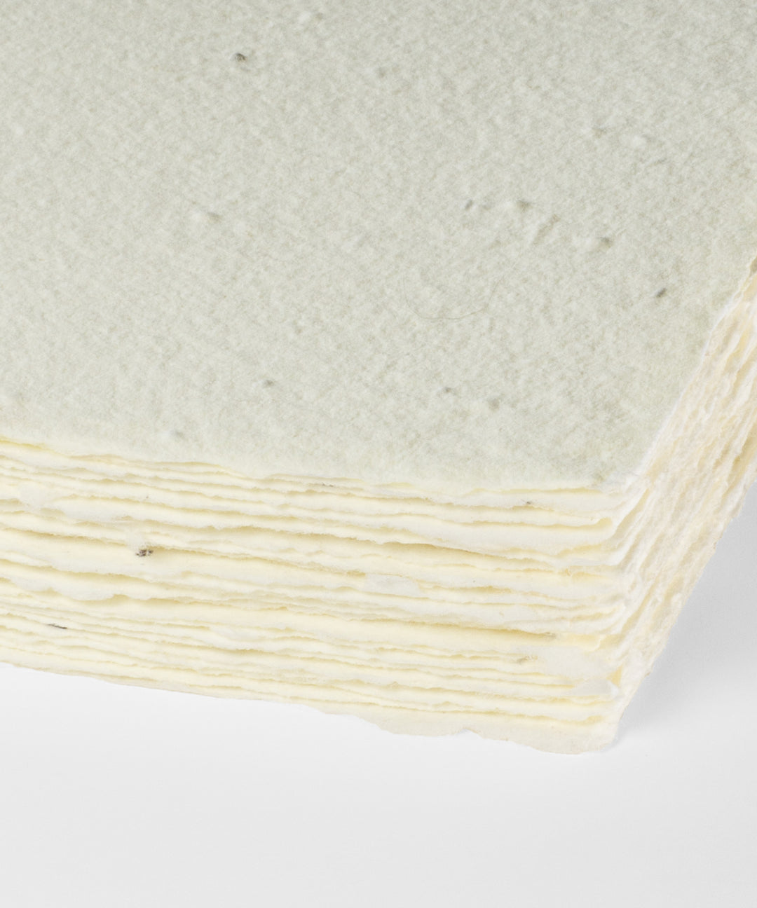 Sweet Wilds | Handmade papers – Porridge Papers