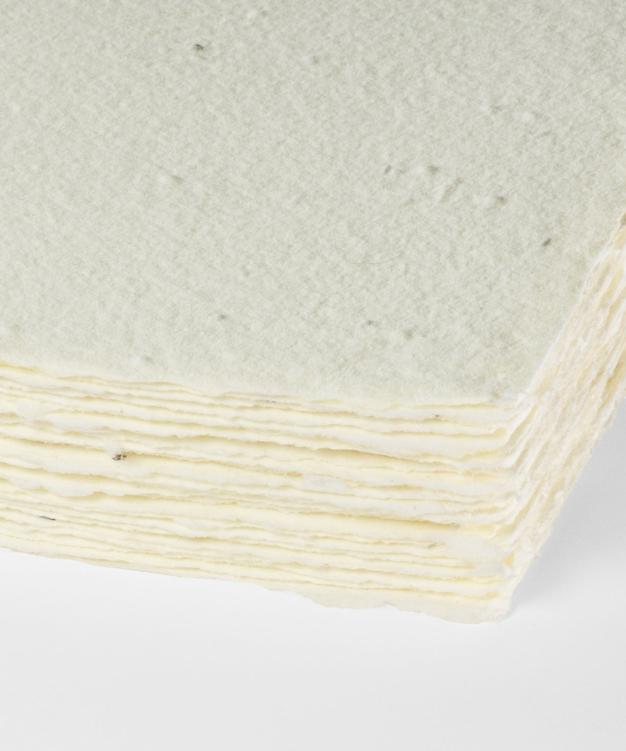 Sweet Wilds | Handmade papers – Porridge Papers