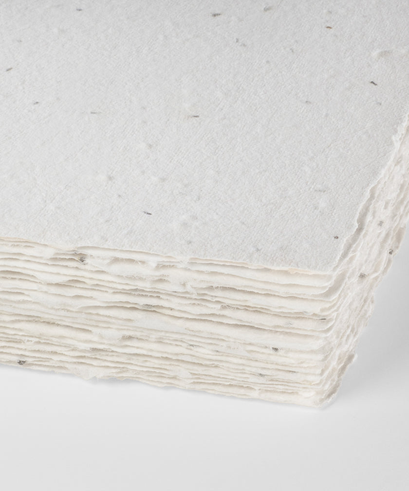 Sweet Wilds | Handmade papers – Porridge Papers