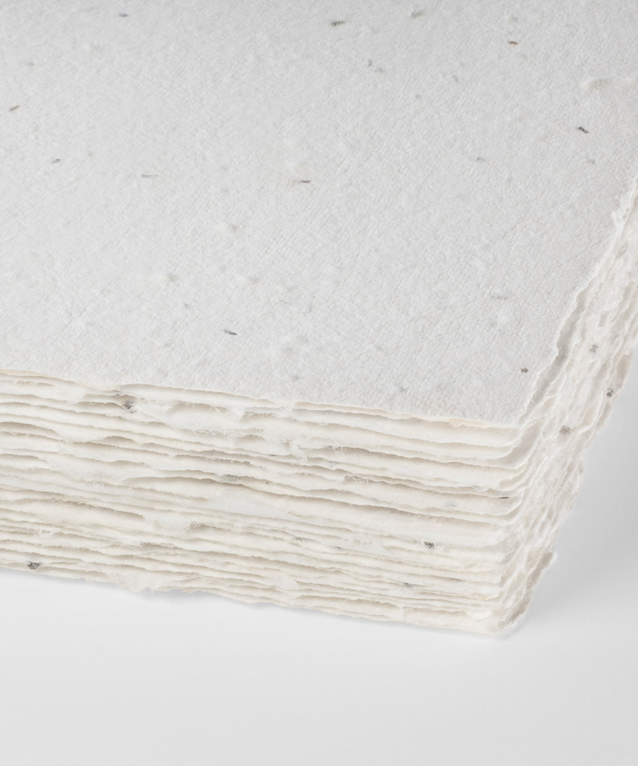 Sweet Wilds | Handmade papers – Porridge Papers