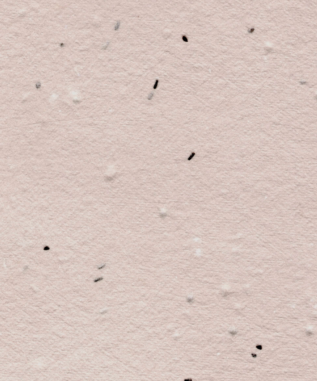 Sweet Wilds | Handmade papers – Porridge Papers