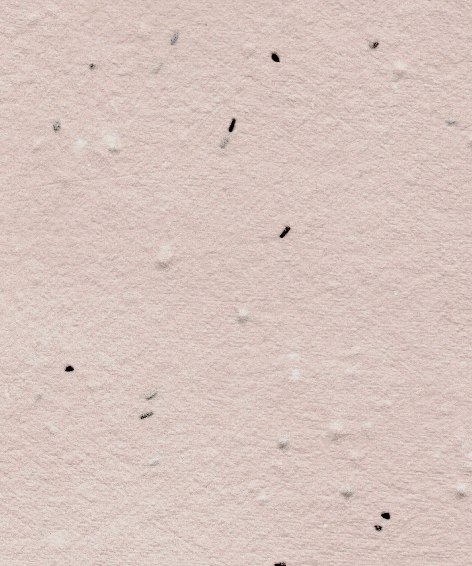 Sweet Wilds | Handmade papers – Porridge Papers