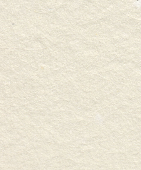 1889 Collection | Handmade Papers – Porridge Papers
