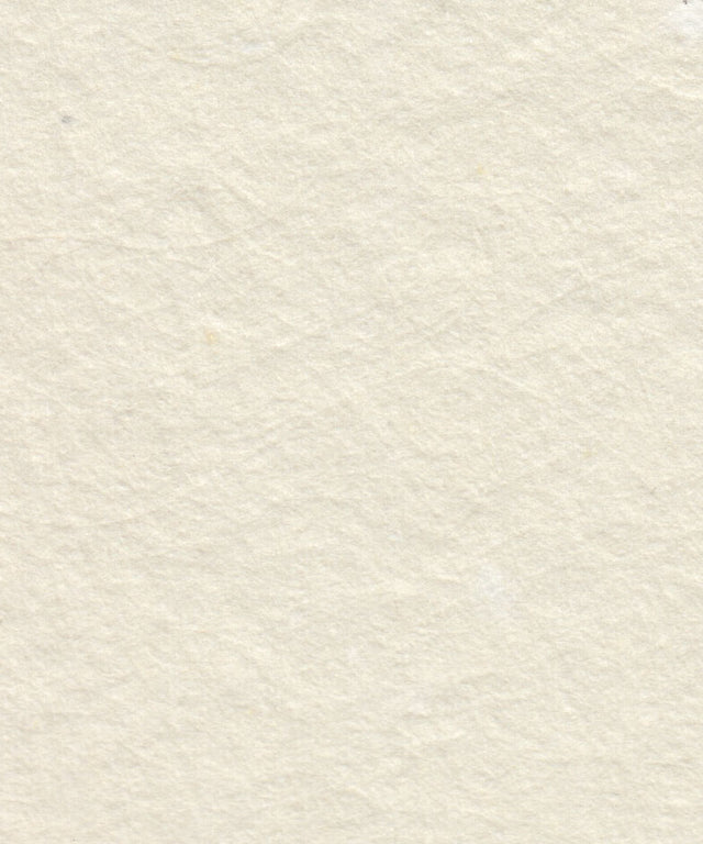 1889 Collection | Handmade Papers – Porridge Papers